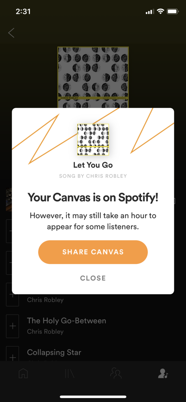 How To Use Spotify Canvas For Cool Video Features DIY Musician