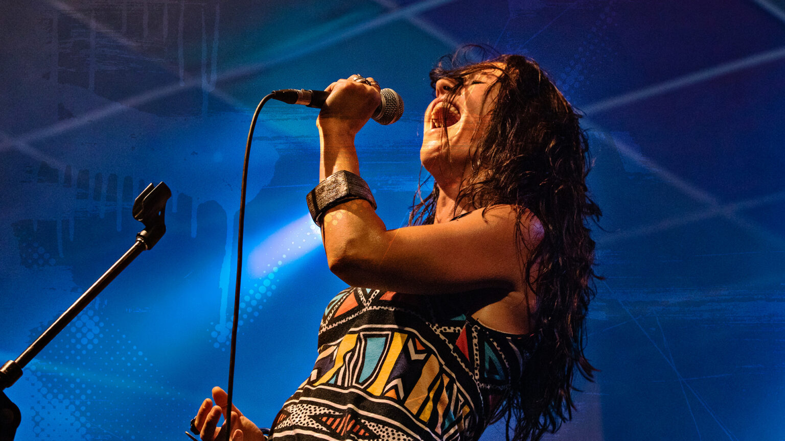 DIY Musician | Tips For Independent Musicians